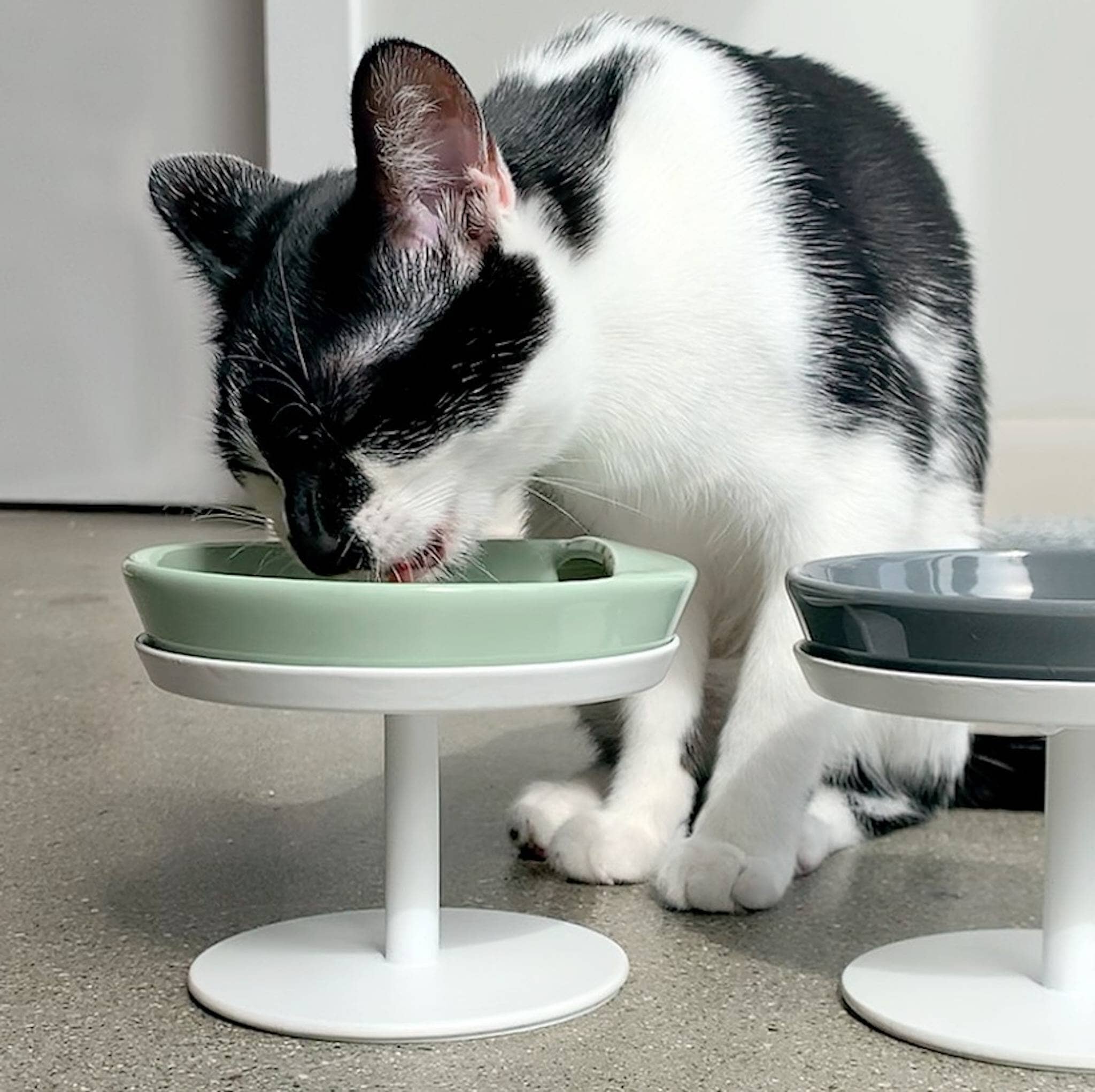 Cat Food – Tuft & Paw