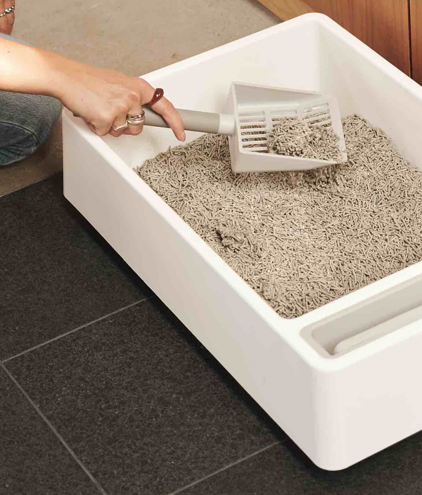 The Best Clumping Cat Litters of 2024 – Tuft & Paw