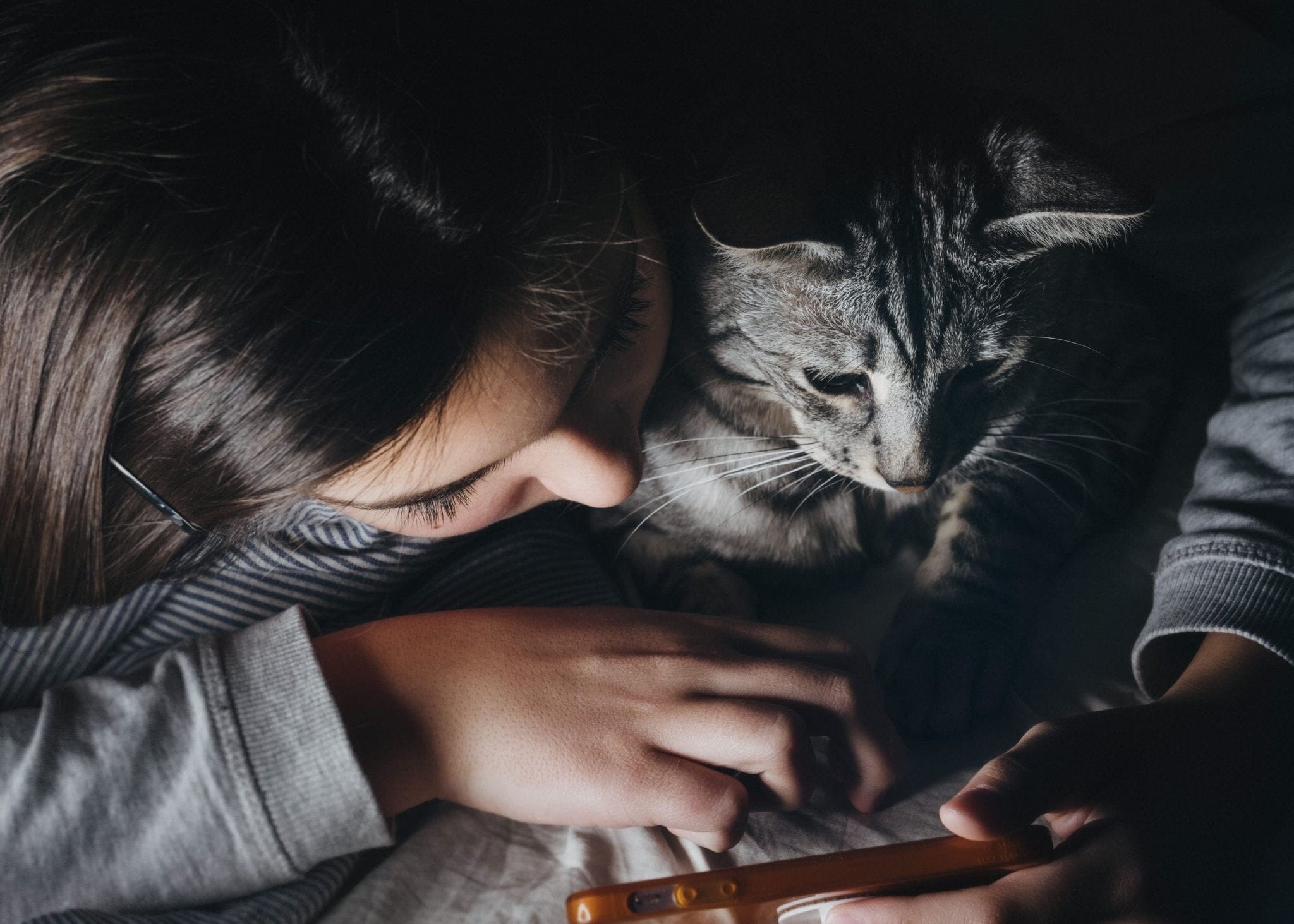 How to Care for Your Cat – Tuft & Paw
