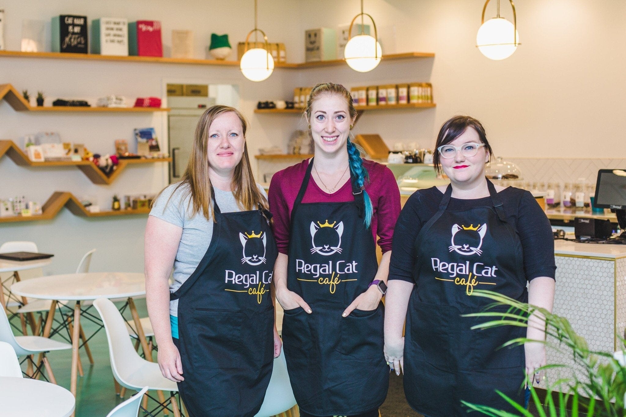 How Tia Quit Her Job and Founded The Regal Cat Cafe – Tuft & Paw