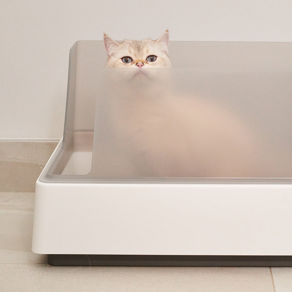 Cove Modern Litter Box – tuft + paw