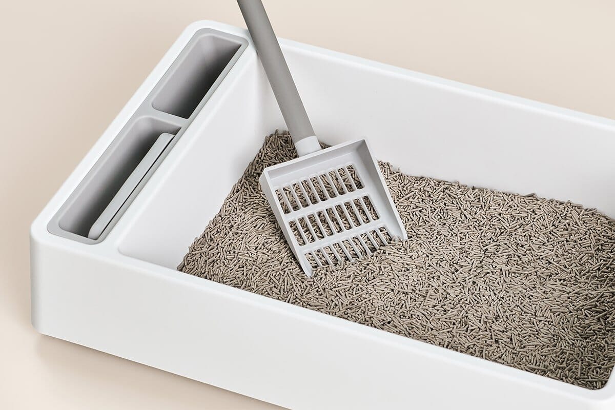 Cove Modern Litter Box – tuft + paw