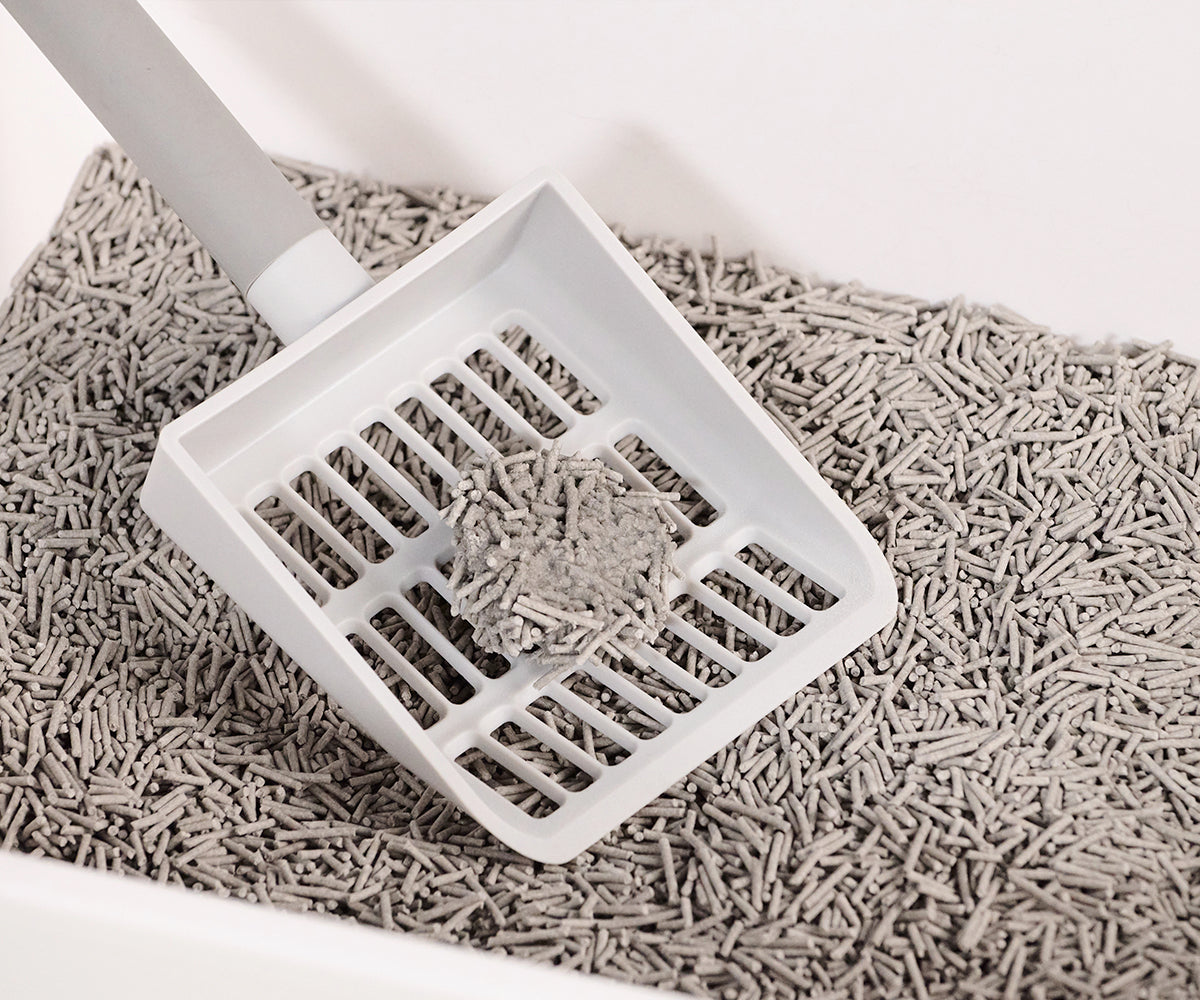 Cove Modern Litter Box – Tuft & Paw