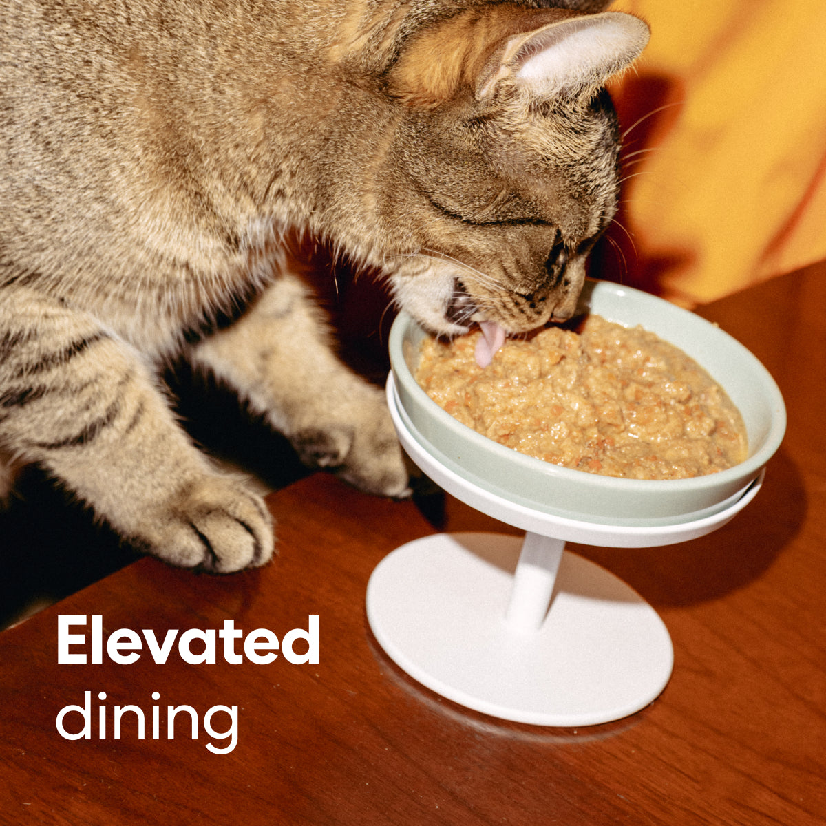 Dock Bowl and Stand – Tuft & Paw