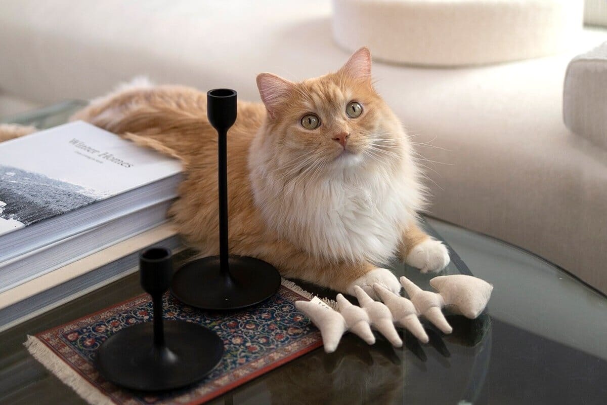 Fish Bone Cat Toy – tuft + paw