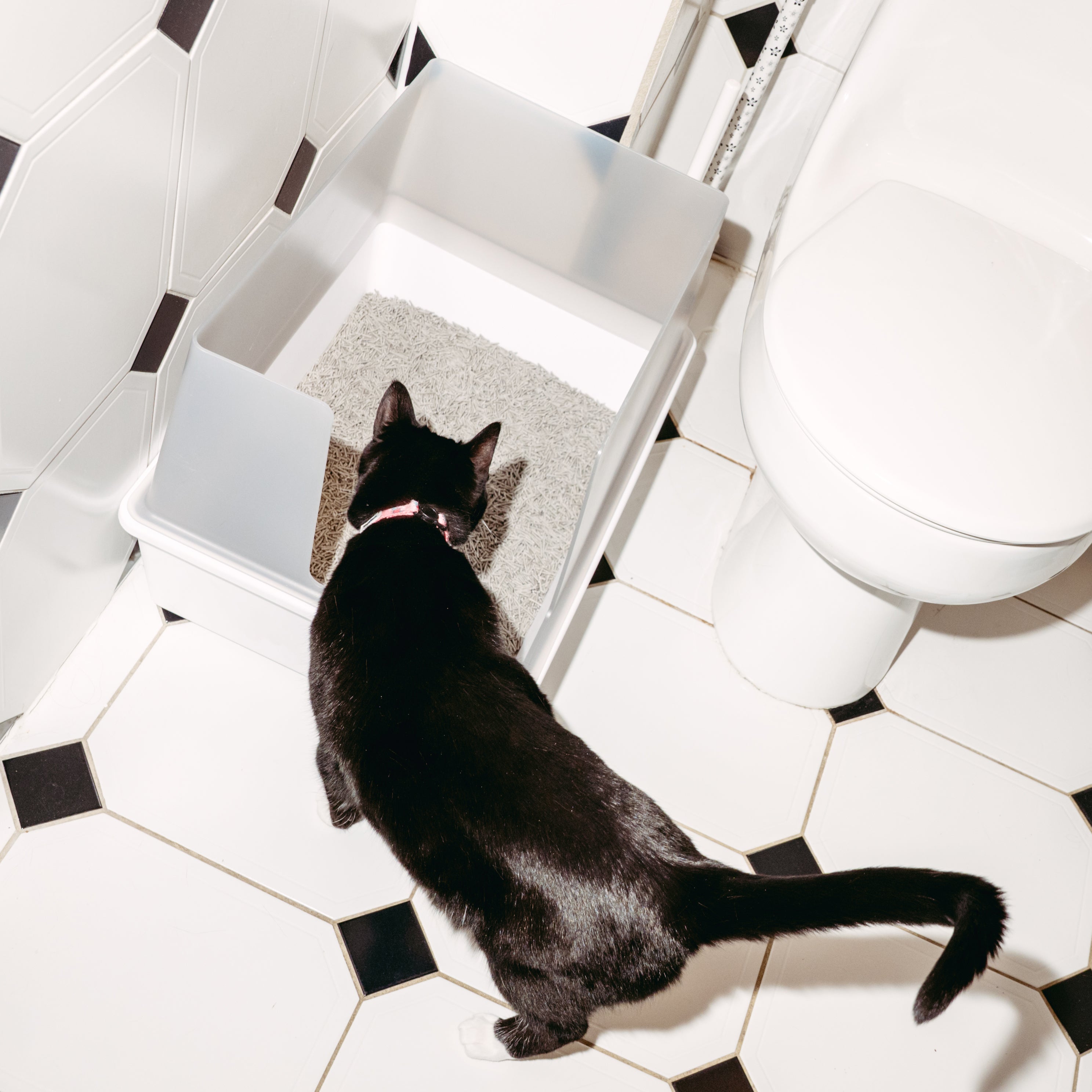 Cubby Litter Box – Tuft & Paw