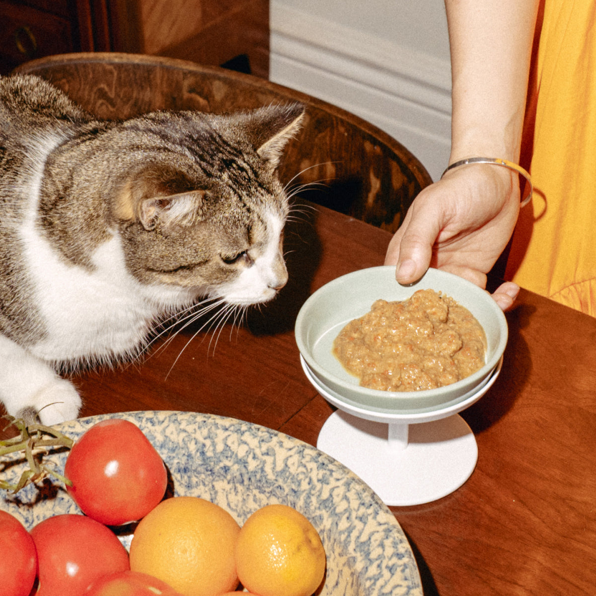 Really Great Cat Food – Tuft & Paw