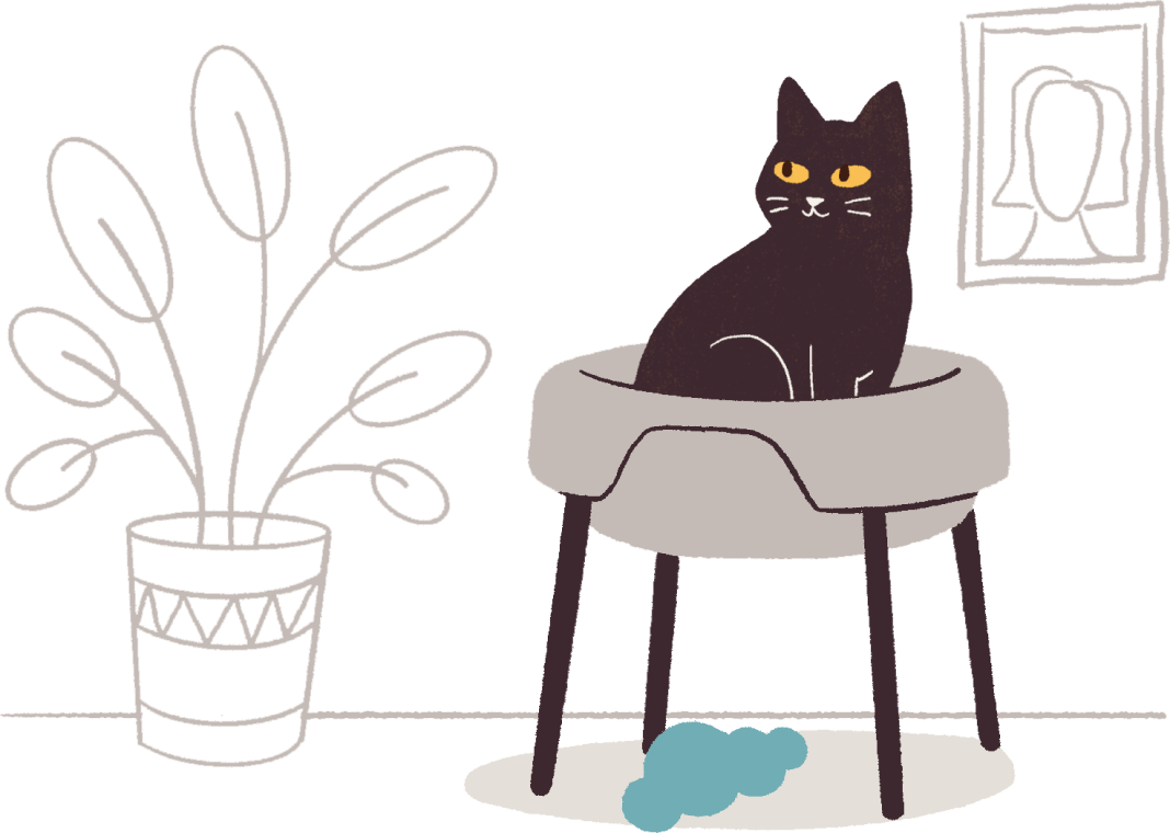 Walnut Cat Litter: Everything You Need to Know – Tuft & Paw