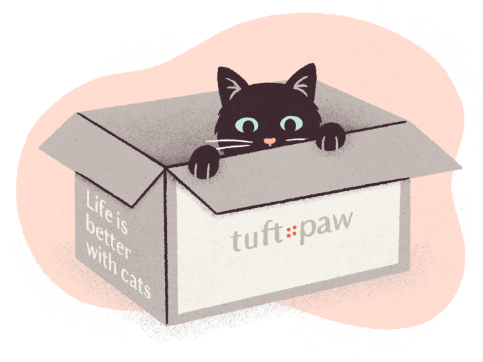 Everything You Need To Know About Tofu Cat Litter – Tuft & Paw
